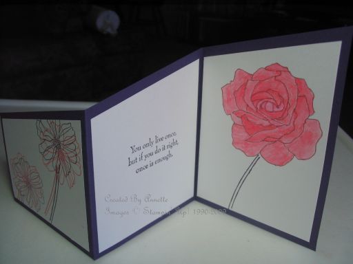 Trifold angle Fifth Avenue inside – Lavender Thoughts