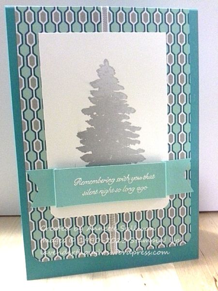 Evergreen Bermuda Silver Tree – Lavender Thoughts