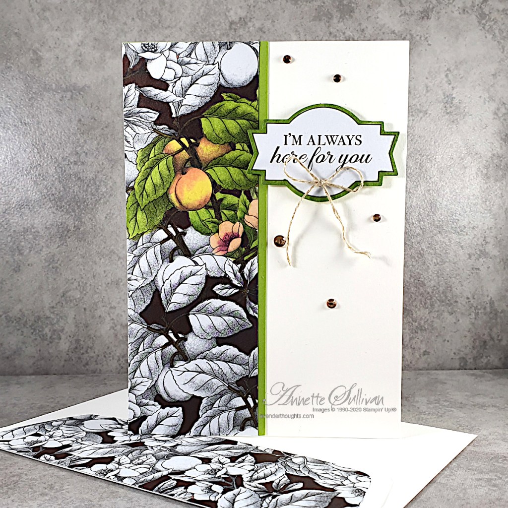 Spotlight Colouring on Designer Series Paper for a Quick and Easy Card ...