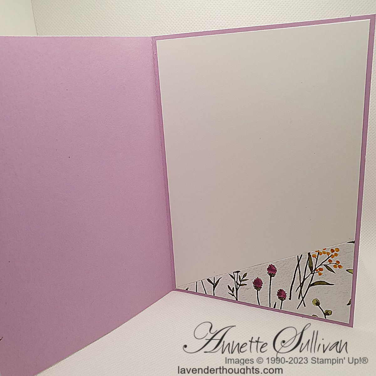 Ways to use Designer Series Paper – Double Pleated Card – Lavender Thoughts