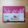 Expressions of Kindness Kit – All of my Alternate Cards – Lavender Thoughts